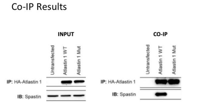 This photo is the results of the | Chegg.com
