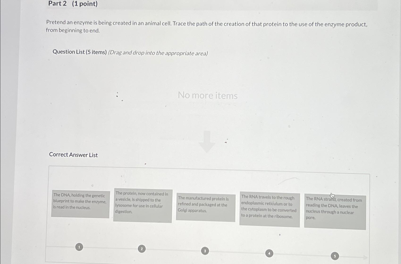 Solved Part 2 (1 ﻿point)Pretend an enzyme is being created | Chegg.com