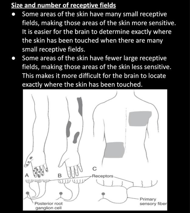 Unit 4 - Laboratory 9 - Assessment of the General | Chegg.com