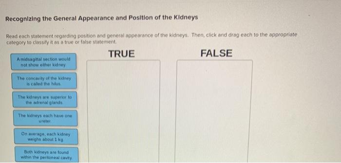 Solved Recognizing the General Appearance and Position of | Chegg.com Solved Recognizing the General Appearance and Position of | Chegg.com