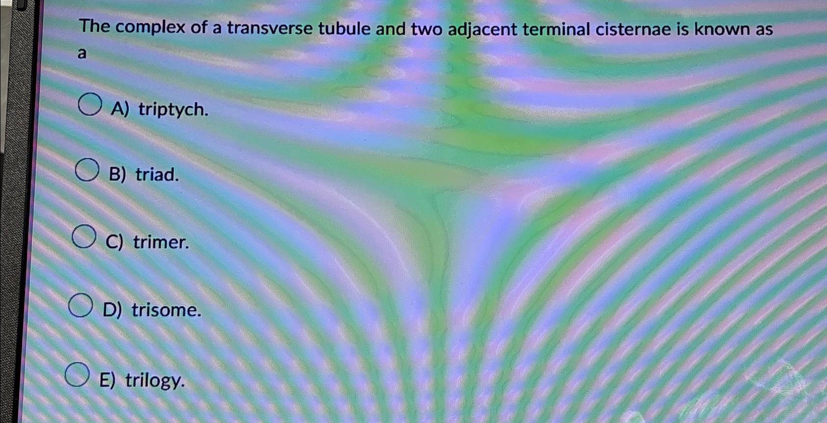 Solved The complex of a transverse tubule and two adjacent | Chegg.com