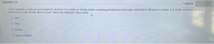 Solved Proteins have complex structures because They are | Chegg.com