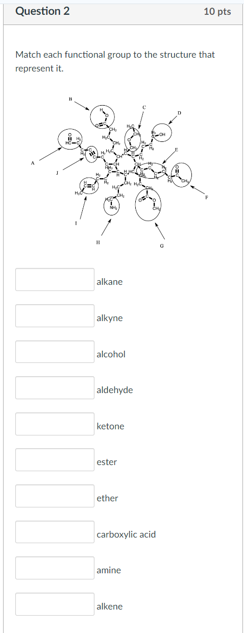 Solved Question 2Match each functional group to the | Chegg.com