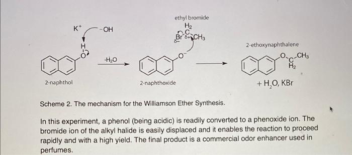 Solved 2-naphthol 2-ethoxynaphthalene Scheme 1. Synthesis of | Chegg.com