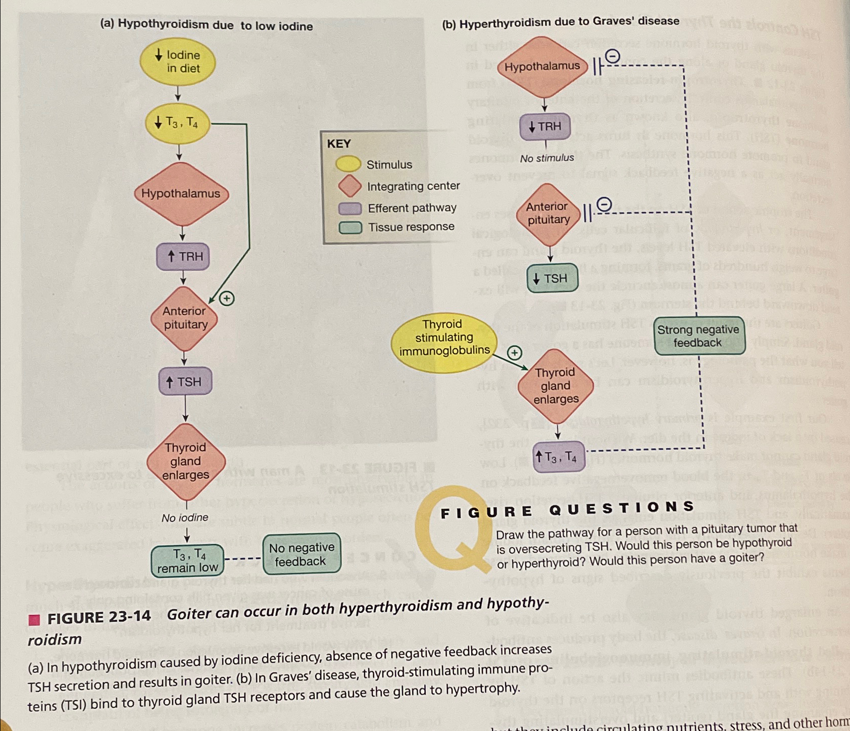 Solved Can you please help me to explain whats going on in | Chegg.com