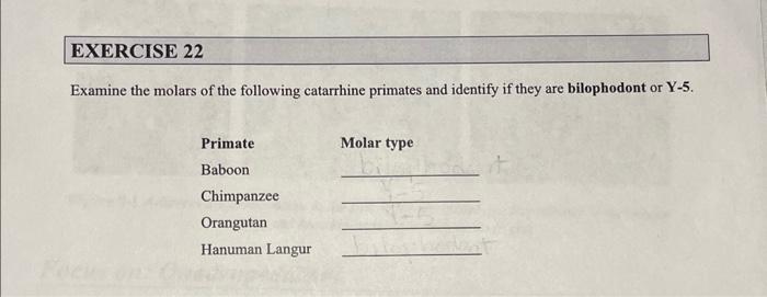 Examine the molars of the following catarrhine | Chegg.com