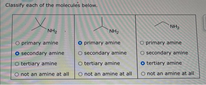 Solved Classify each of the molecules below. | Chegg.com
