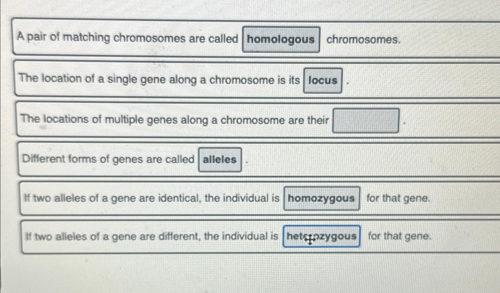 Solved A pair of matching chromosomes are | Chegg.com