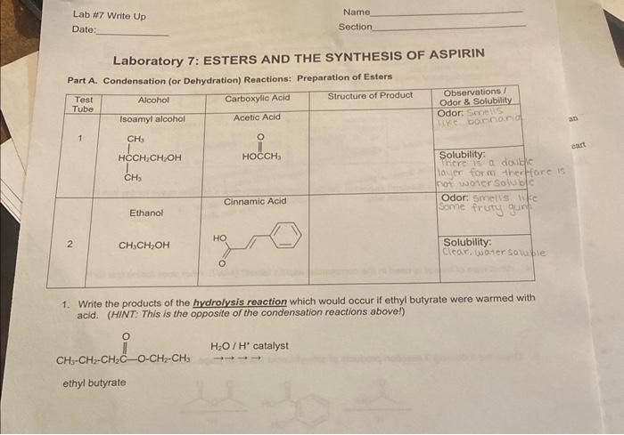 Solved Lab \#7 Write Up Date: Name Section Laboratory 7: | Chegg.com