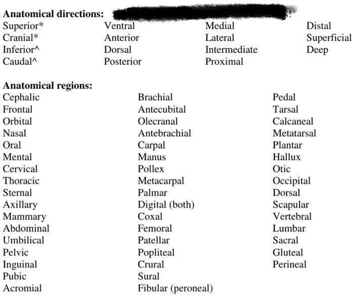 Solved Anatomical directions: Superior* Cranial ∗ Inferior | Chegg.com