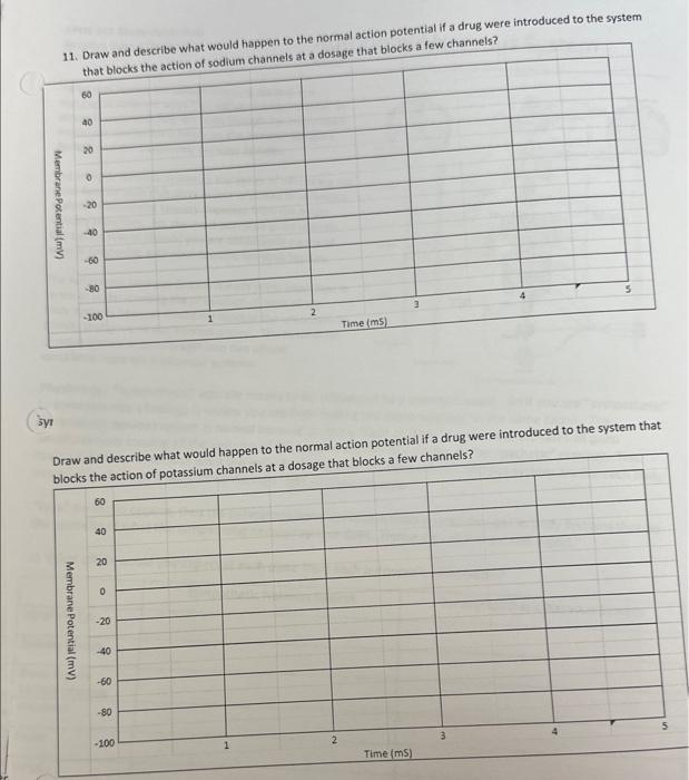Solved Membrane Potential (mV) Membrane Potential (mv) 5. At | Chegg.com