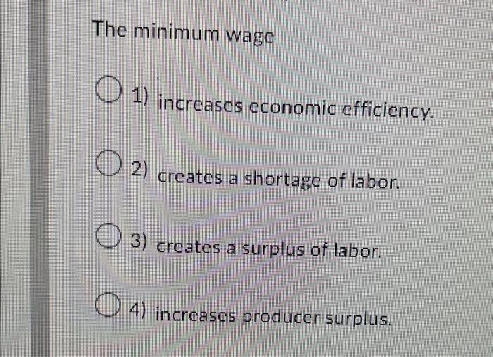 Solved The minimum wage 1) increases economic efficiency. 2) | Chegg.com