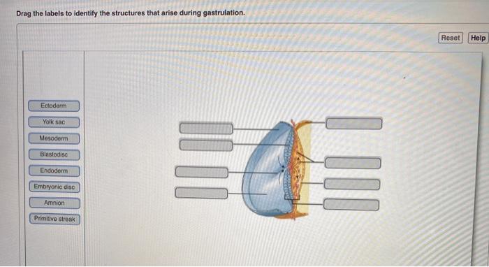 Solved Drag the labels to identify the components of the | Chegg.com
