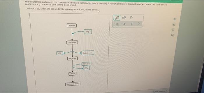 Solved The biochemical pathway in the drawing are below is | Chegg.com