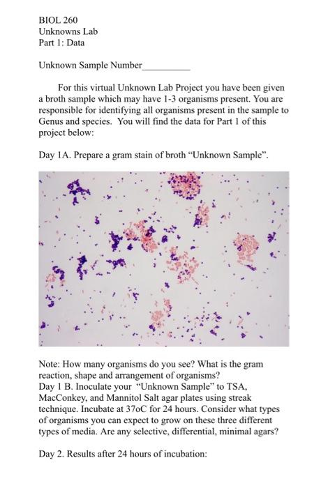 BIOL 260 Unknowns Lab Part 1: Data Unknown Sample | Chegg.com