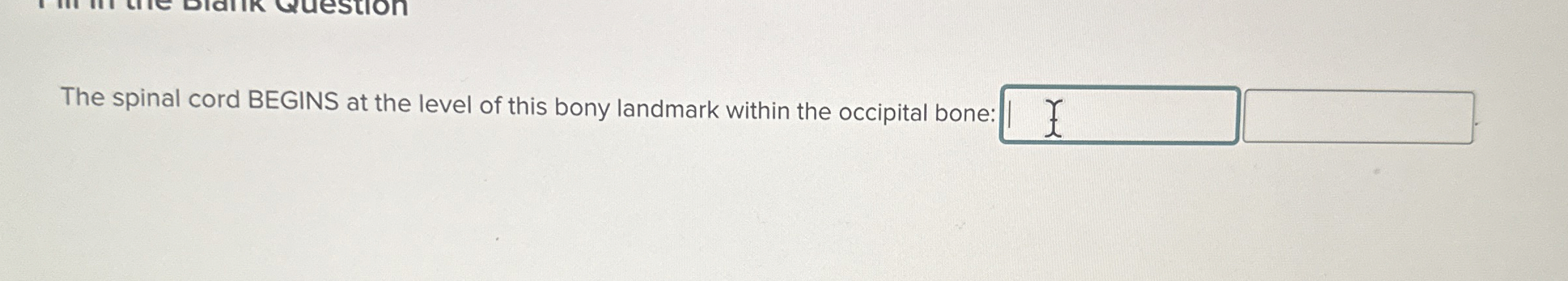 Solved The spinal cord BEGINS at the level of this bony | Chegg.com