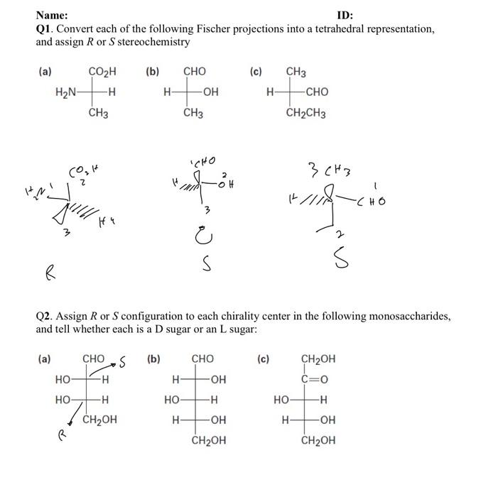 Solved Name: ID: Q1. Convert each of the following Fischer | Chegg.com
