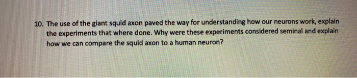Solved 10. The use of the giant squid axon paved the way for | Chegg.com