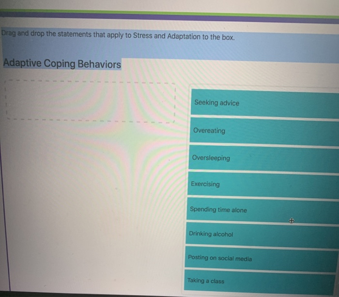 Solved Drag and drop the statements that apply to Stress and | Chegg.com