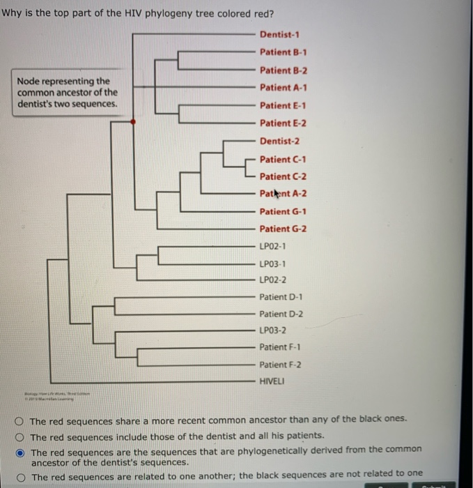 Solved Why is the top part of the HIV phylogeny tree colored | Chegg.com