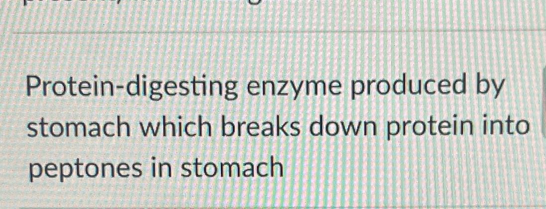 Solved Protein-digesting enzyme produced by stomach which | Chegg.com