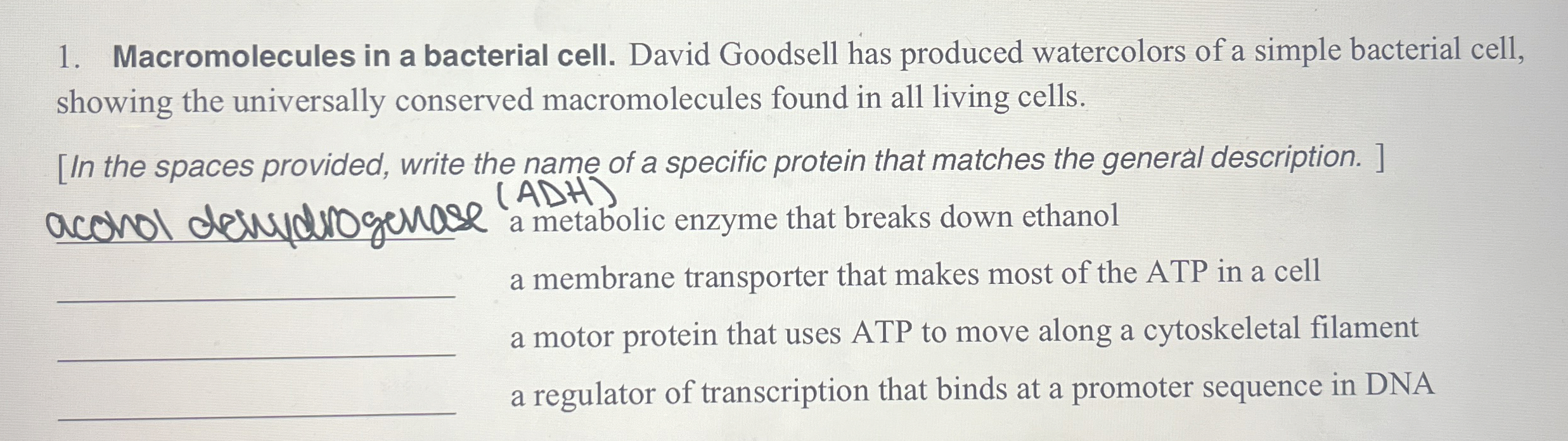 Solved Macromolecules in a bacterial cell. David Goodsell | Chegg.com