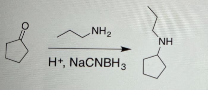 Solved NH2 NH H+, NaCNBH3 | Chegg.com