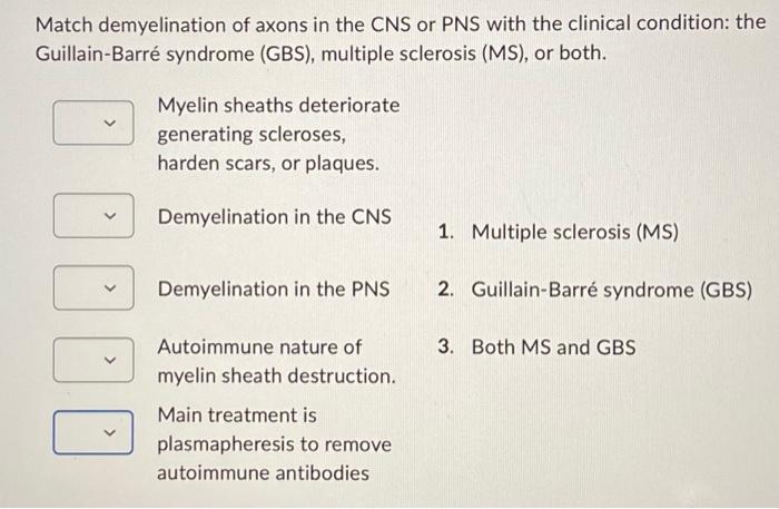 Solved Match demyelination of axons in the CNS or PNS with | Chegg.com