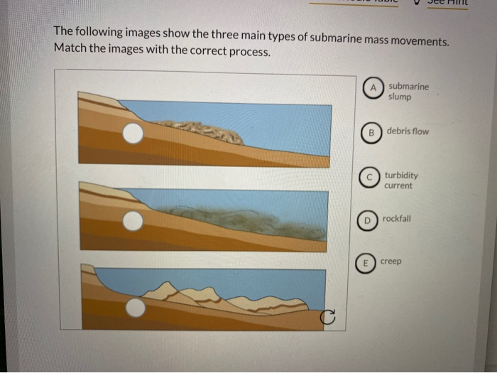 Solved Jee HNL The following images show the three main | Chegg.com