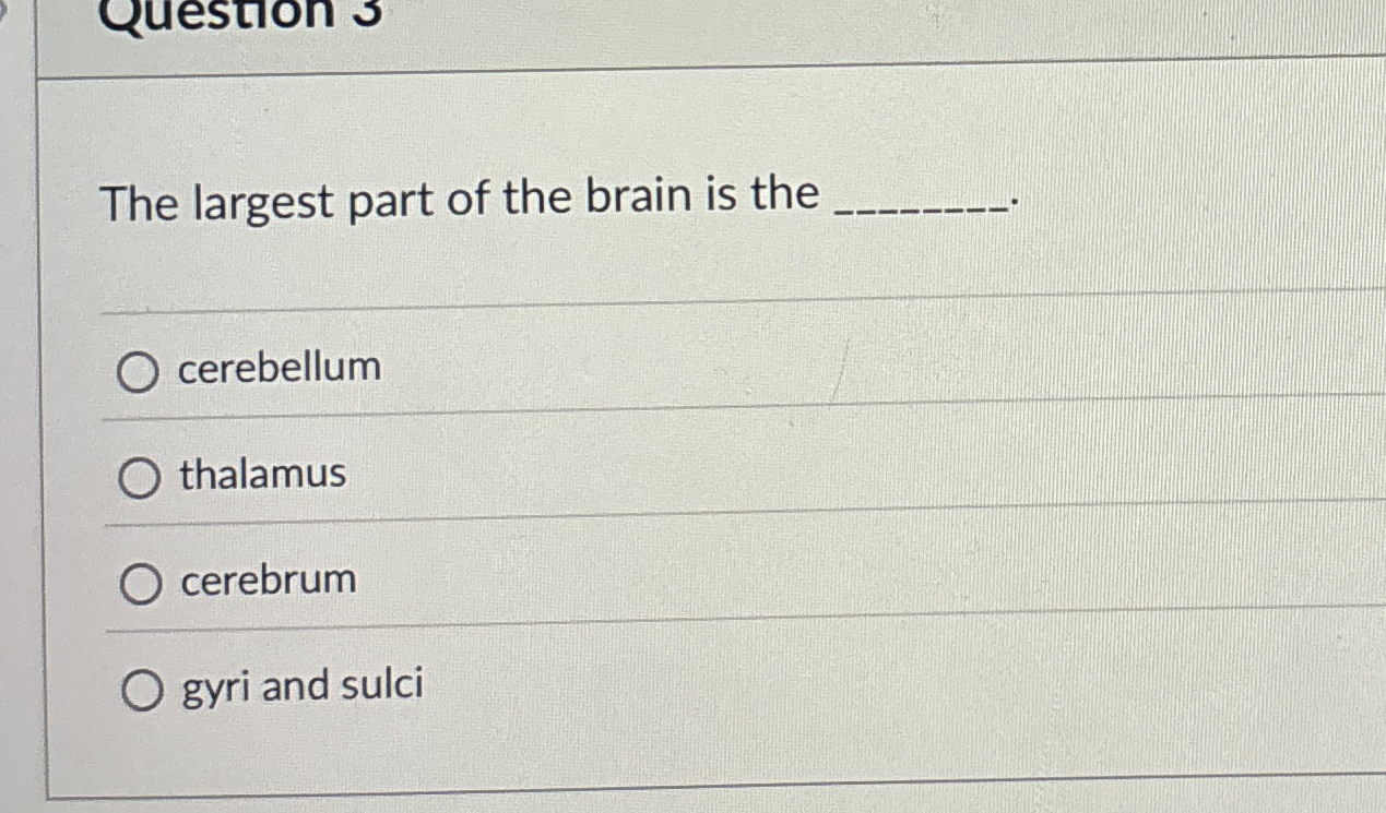 Solved The largest part of the brain is | Chegg.com