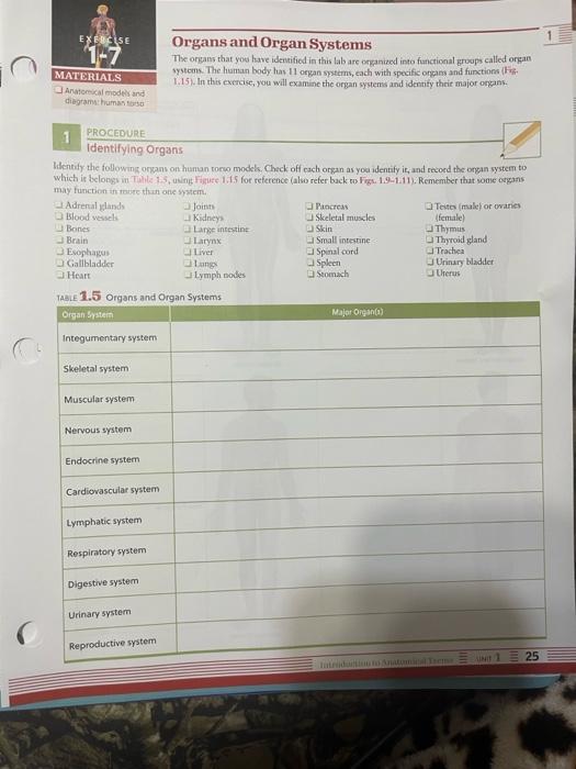 Solved Organs and Organ Systems The organs that you have | Chegg.com