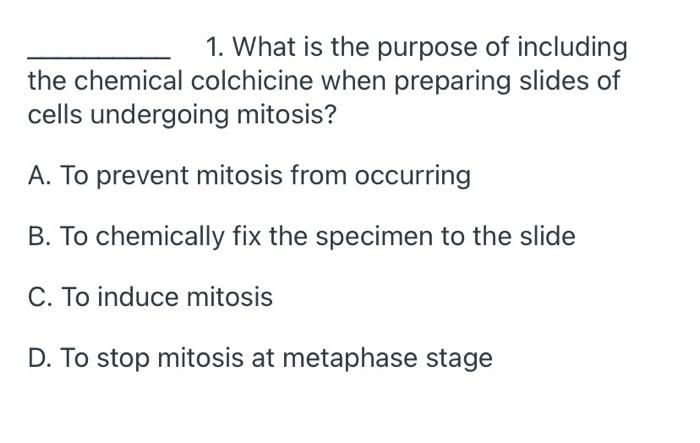 Solved 6. (4 points) Draw the stages of mitosis including: | Chegg.com