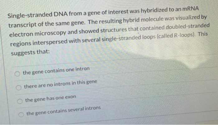Solved Single-stranded DNA from a gene of interest was | Chegg.com