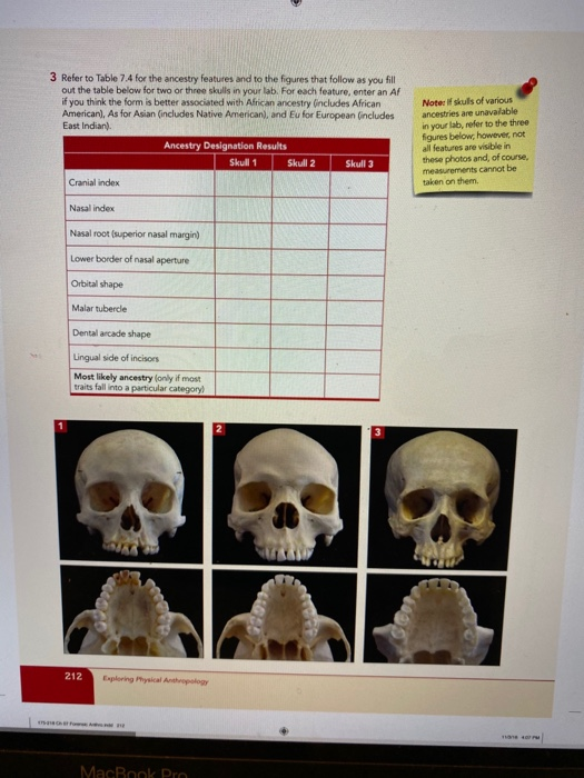 Native American Facial Features Anthropology