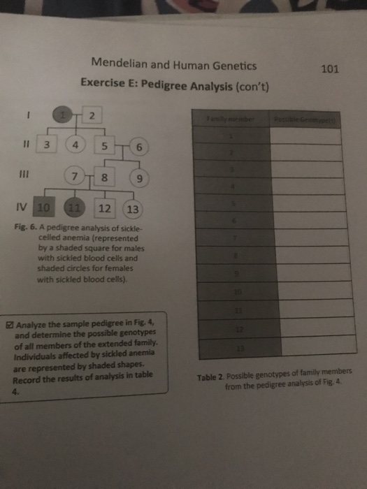 Solved Mendelian and Human Genetics Exercise E: Pedigree | Chegg.com
