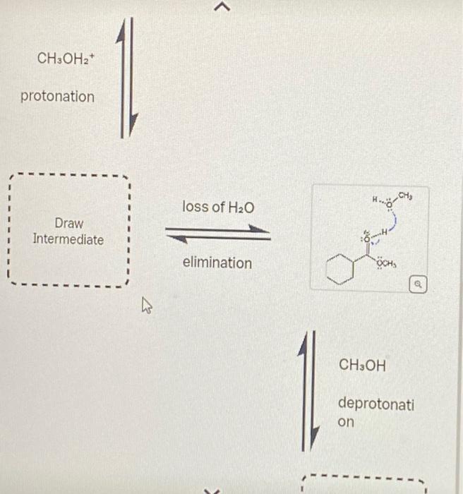 Solved Q protcation deprotonation ∫CH3OH nucleoph addition | Chegg.com