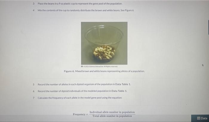 In this exercise. you will use brown and white beans | Chegg.com