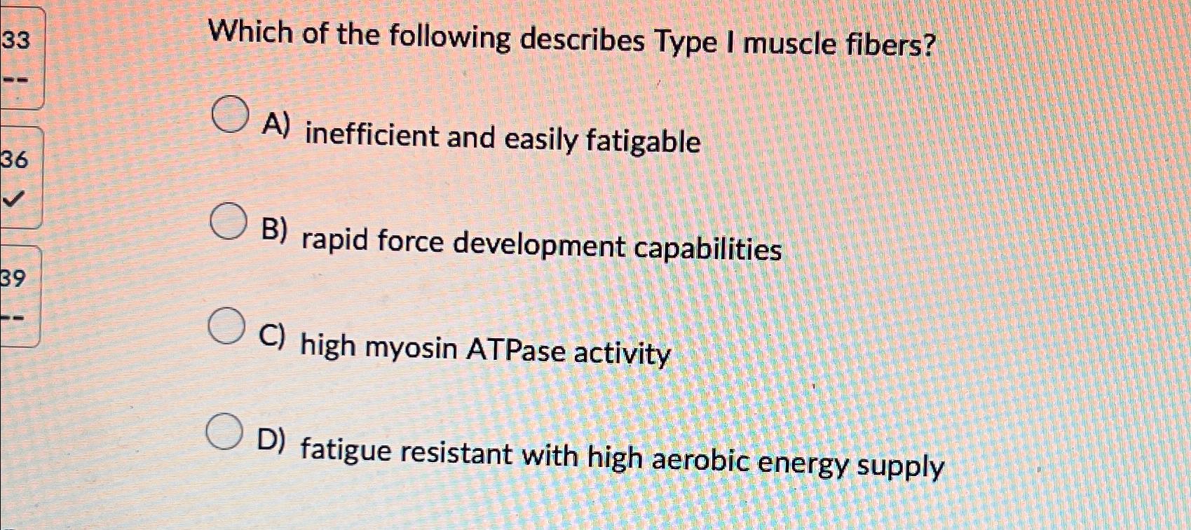 Solved Which of the following describes Type I muscle | Chegg.com