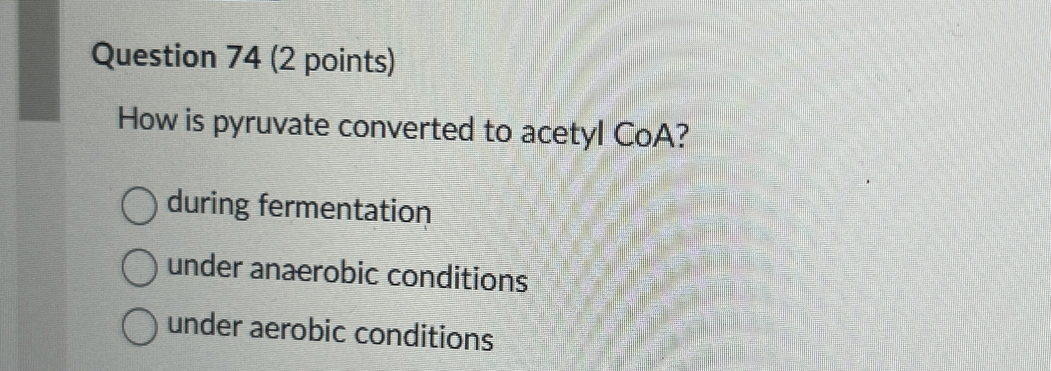 Solved Question 74 (2 ﻿points)How is pyruvate converted to | Chegg.com