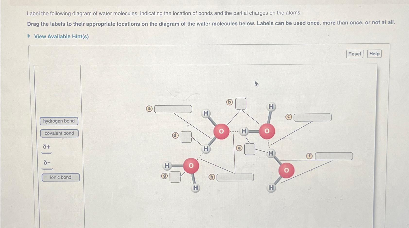 Solved Label the following diagram of water molecules, | Chegg.com