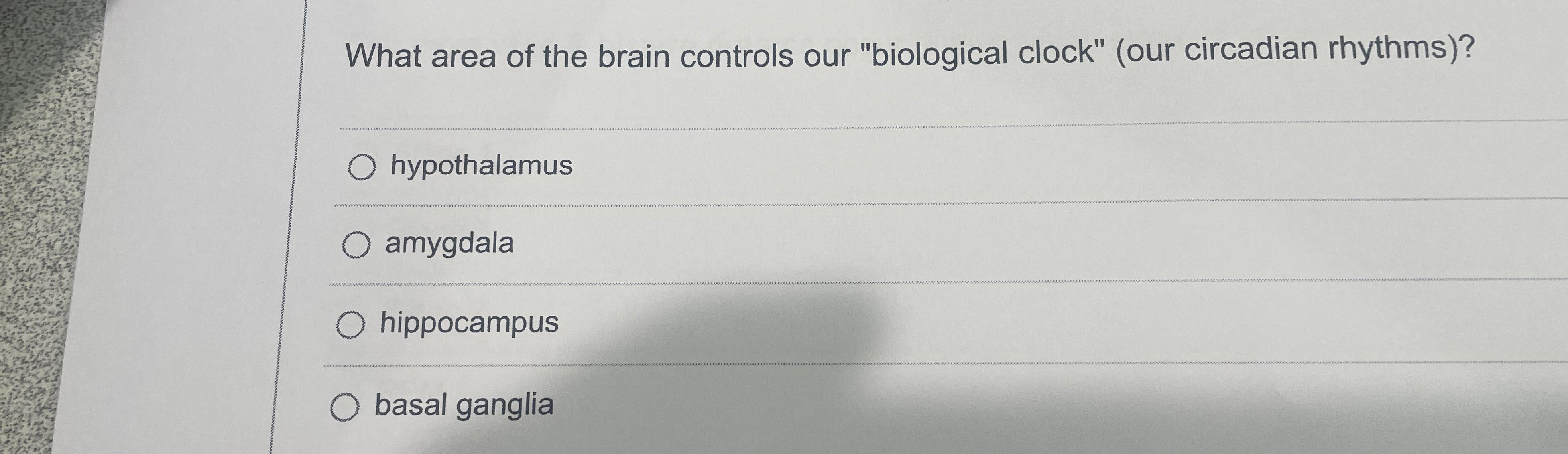 Solved What area of the brain controls our "biological | Chegg.com