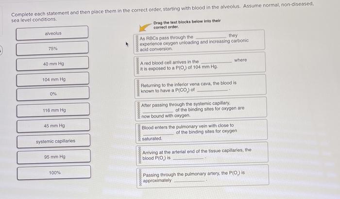 Solved Complete each statement and then place them in the | Chegg.com