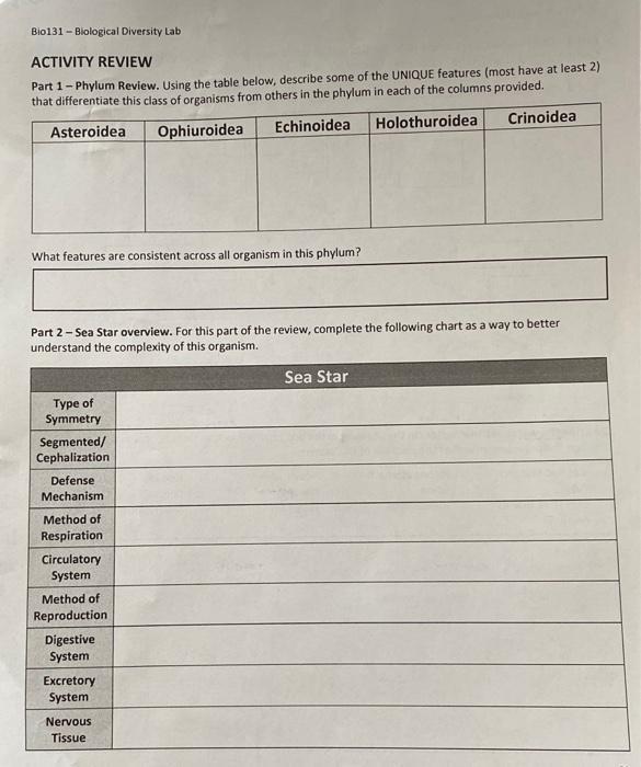 Solved ACTIVITY REVIEW Part 1 - Phylum Review. Using the | Chegg.com