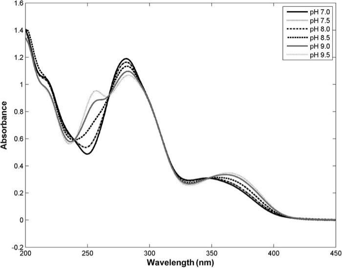 Solved explain Mass spectrum of folic acid explain UV | Chegg.com