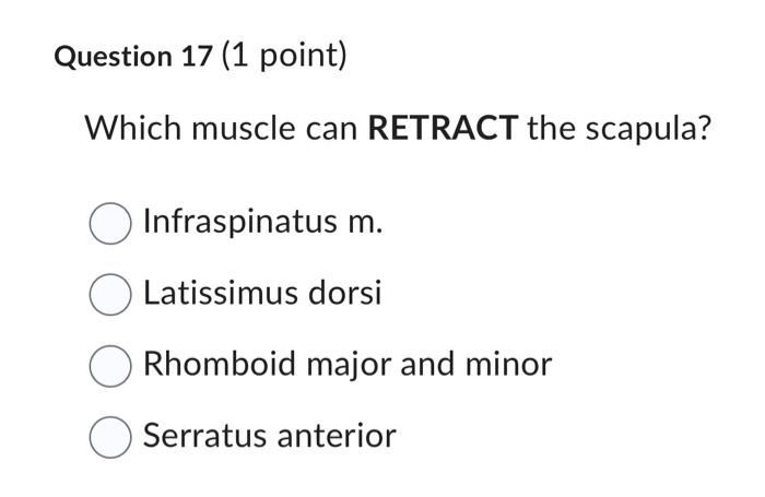 Solved Which of the following muscles does NOT laterally | Chegg.com
