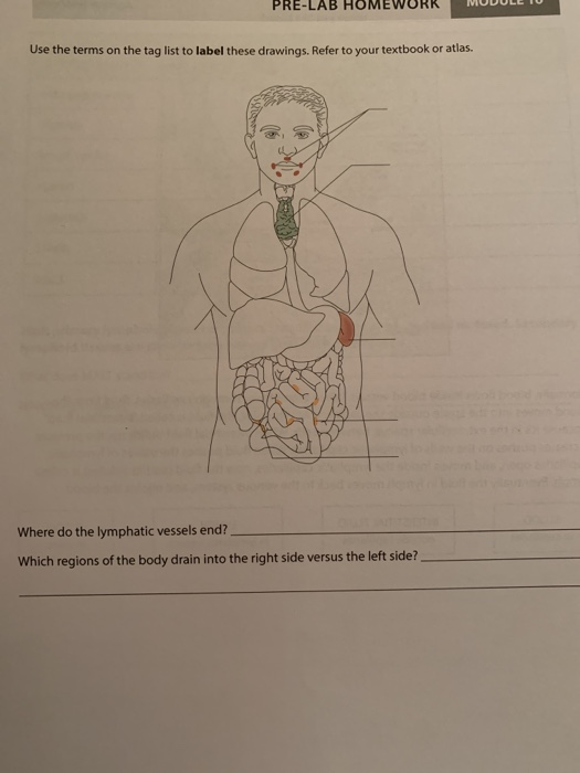 Solved BLOOD TAG LIST blood lab tests hematocrit complete | Chegg.com