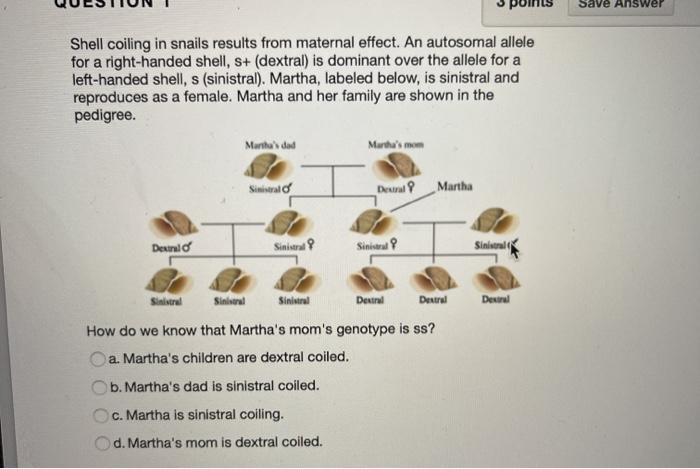 Solved Save Answer Shell coiling in snails results from | Chegg.com