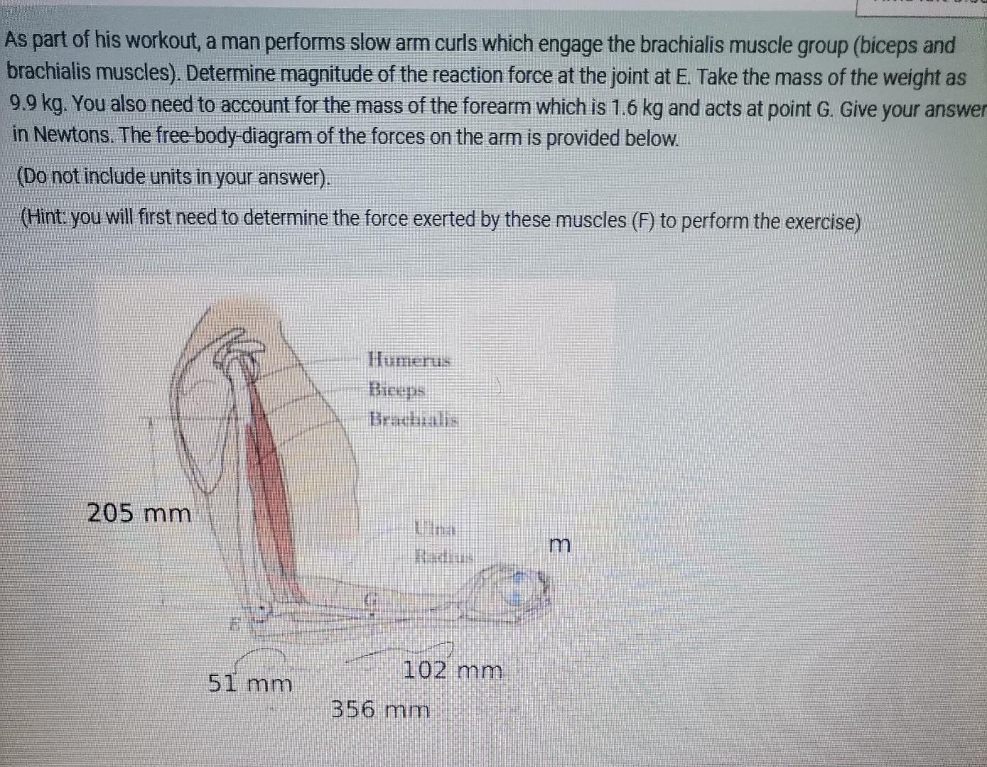 Solved As part of his workout, a man performs slow arm curls | Chegg.com