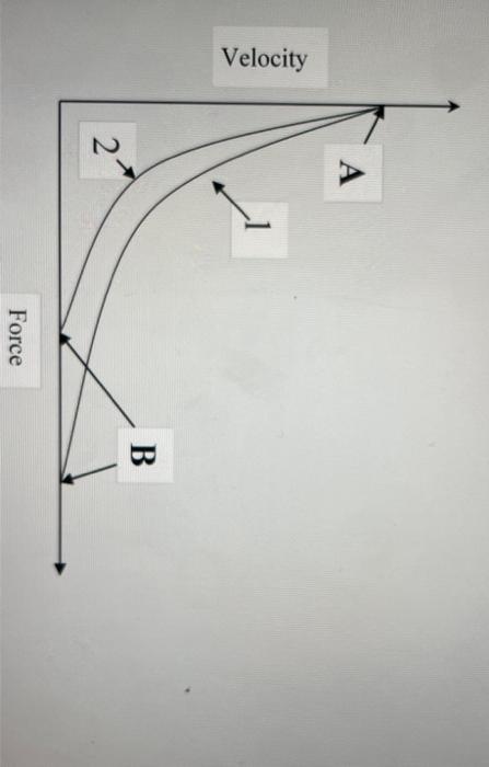 Solved The force: velocity relations below were obtained | Chegg.com