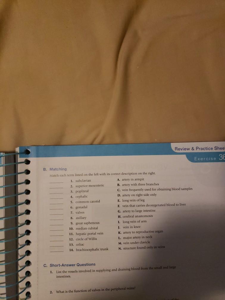Solved Review & Practice Shee Exercise 36 B. Matching Match | Chegg.com